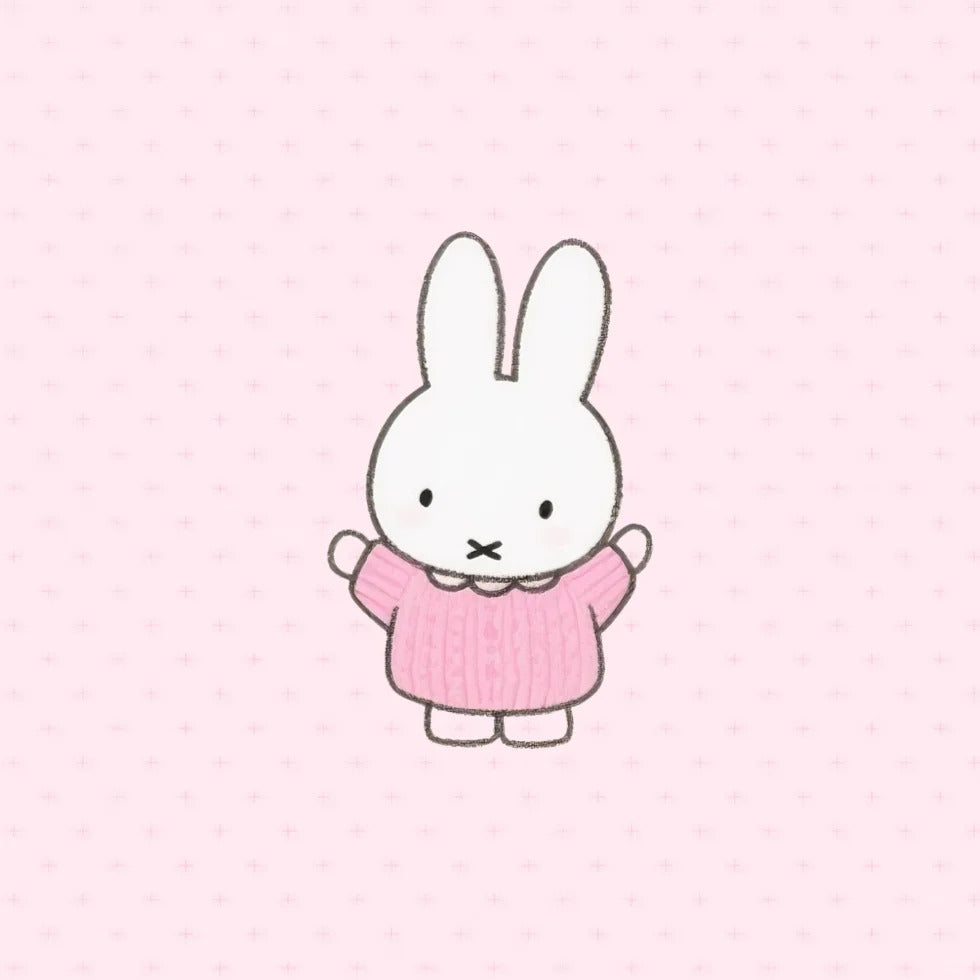 Sanrio Blind Box – Joykawaii